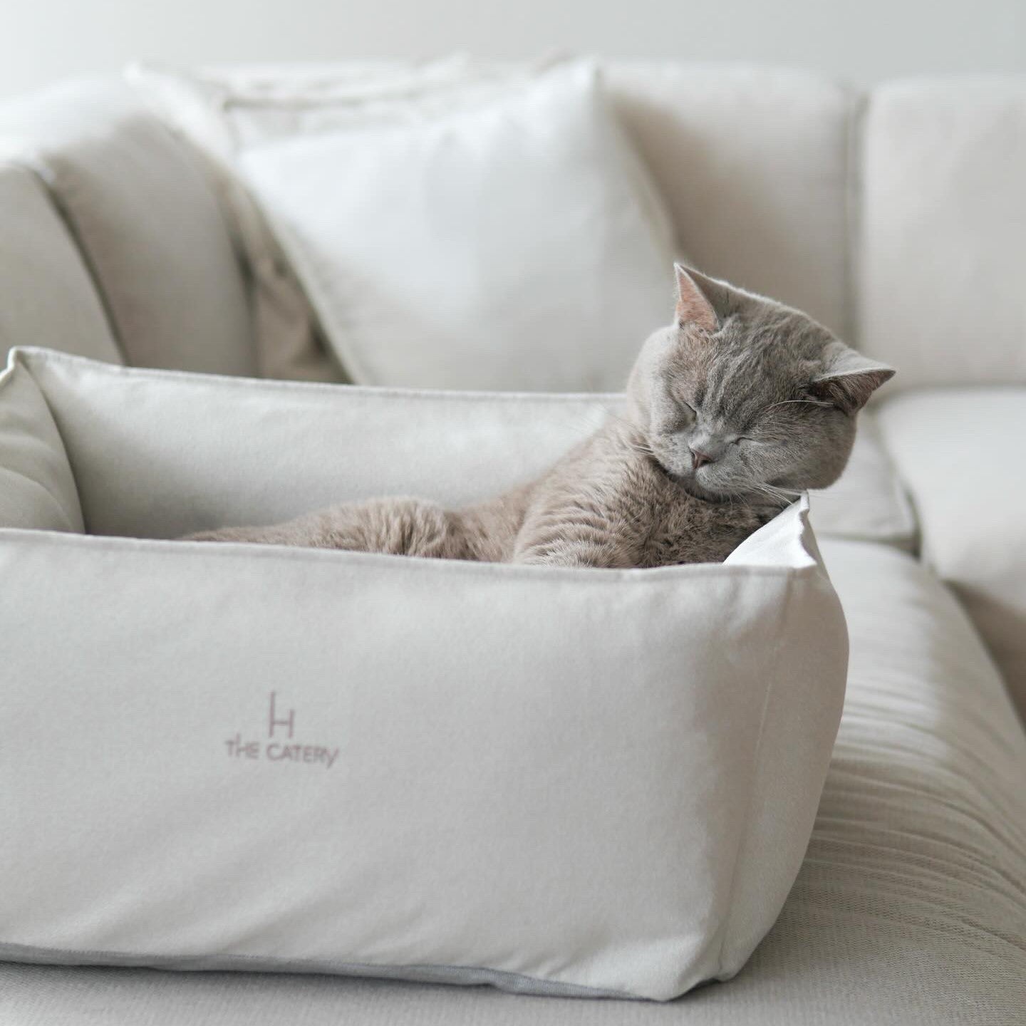 Stylische Katzenbetten - The Catery – the catery shop