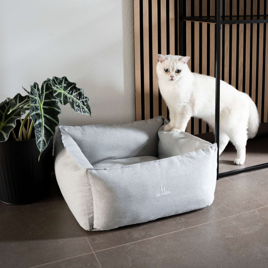 Stylische Katzenbetten - The Catery – the catery shop